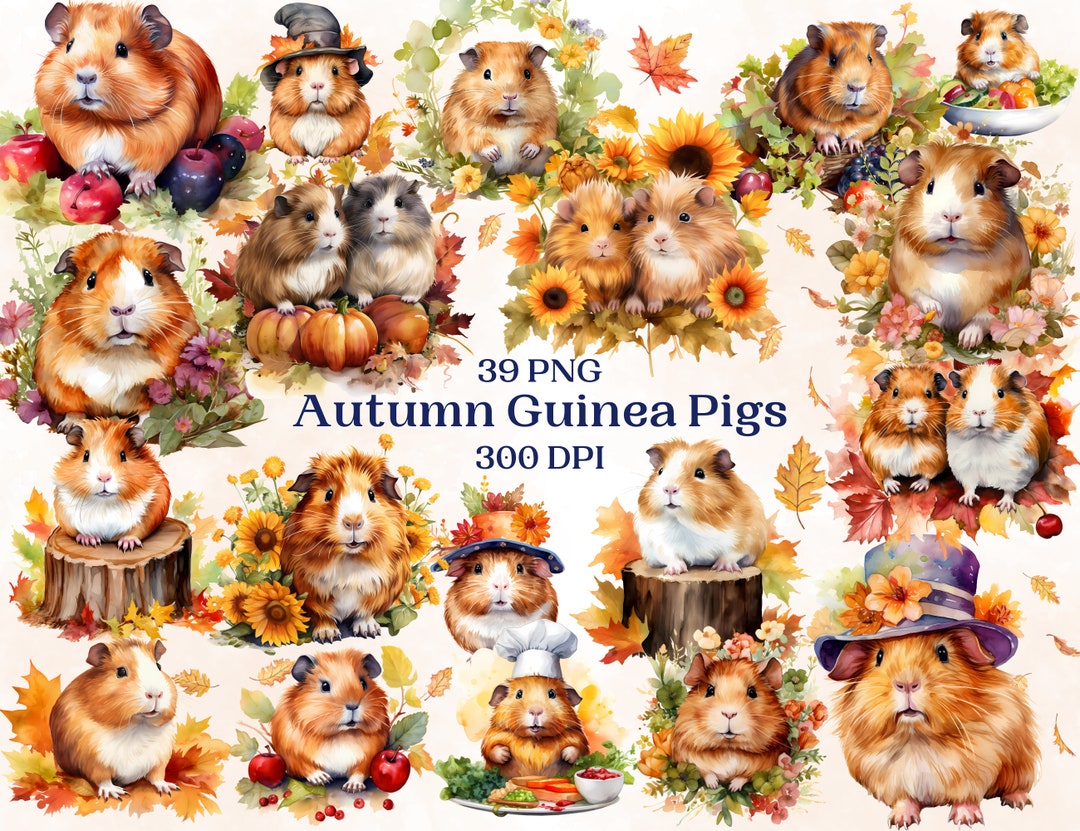 Autumn Guinea Pigs for Creative Projects, Fall Animal Printable Designs ...