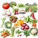 Farm Fresh Veggie Clipart Set for Creative Project, Transparent ...