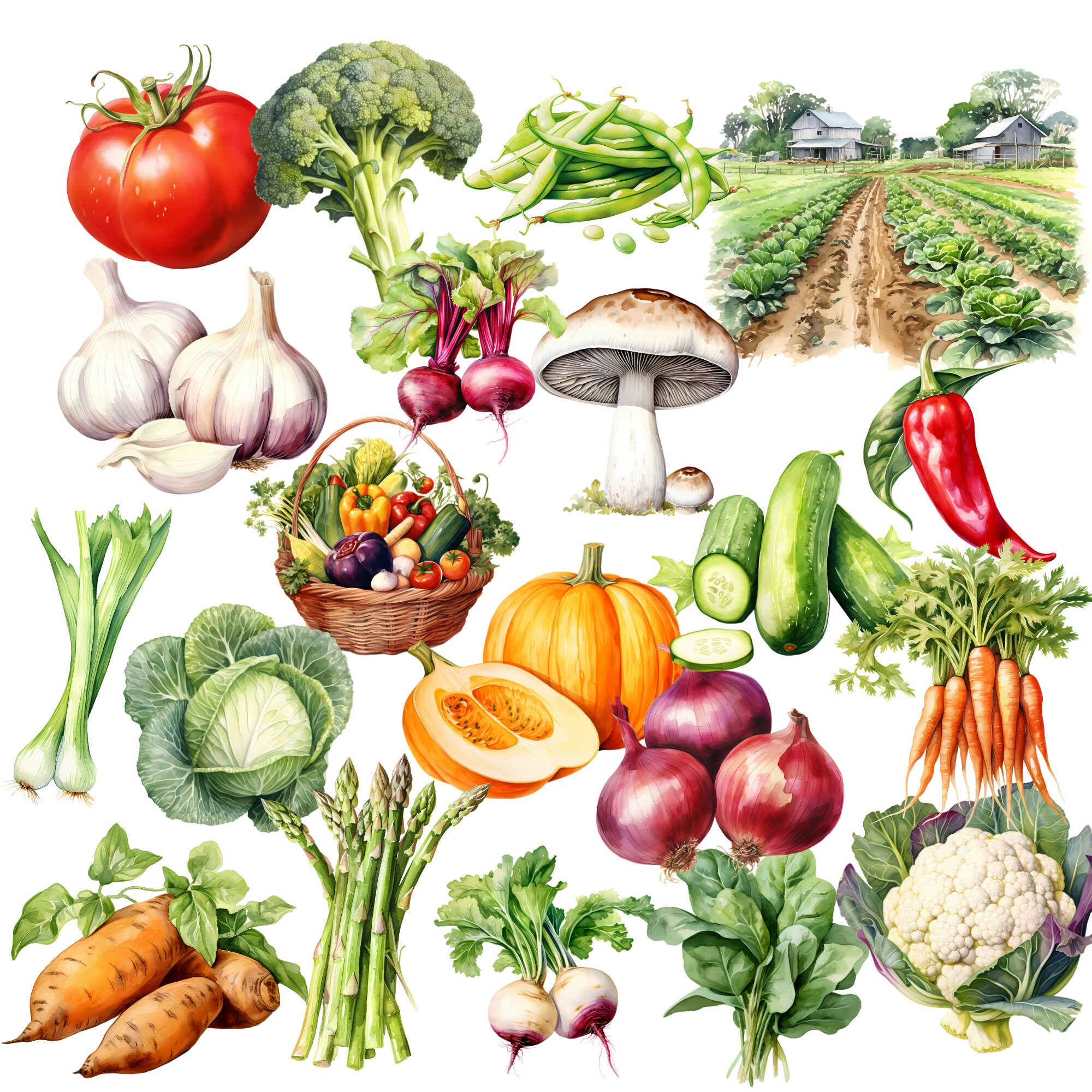 Farm Fresh Veggie Clipart Set for Creative Project, Transparent ...