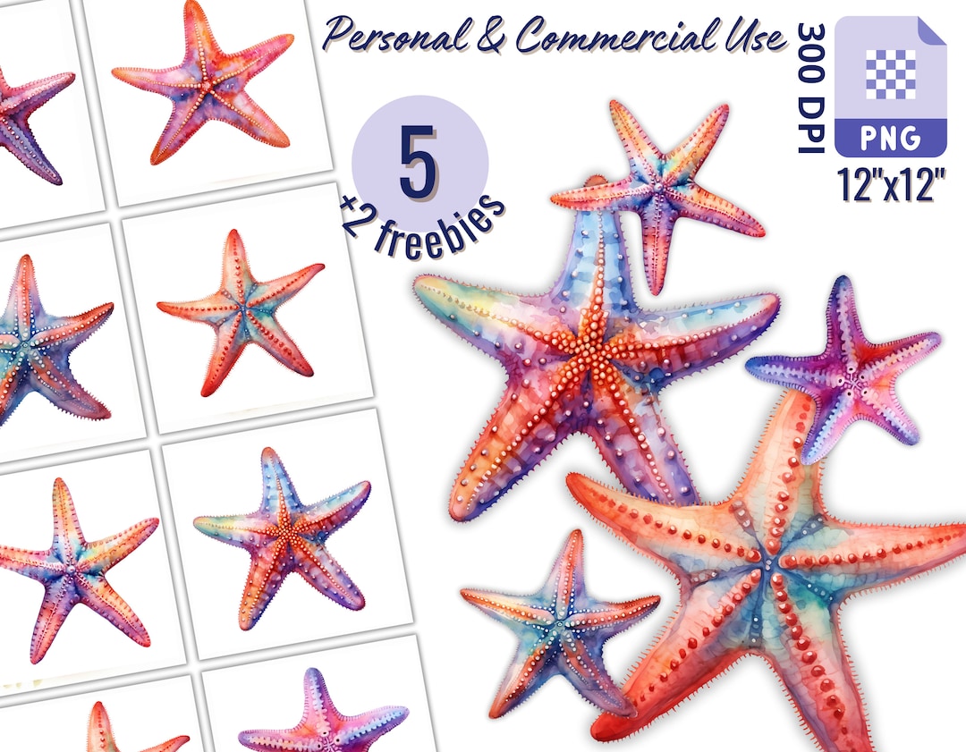 Colorful Starfish Clipart Set for Creative Projects, Summer and Ocea ...