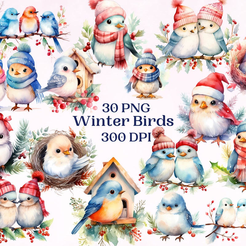 Winter Birds - Etsy
