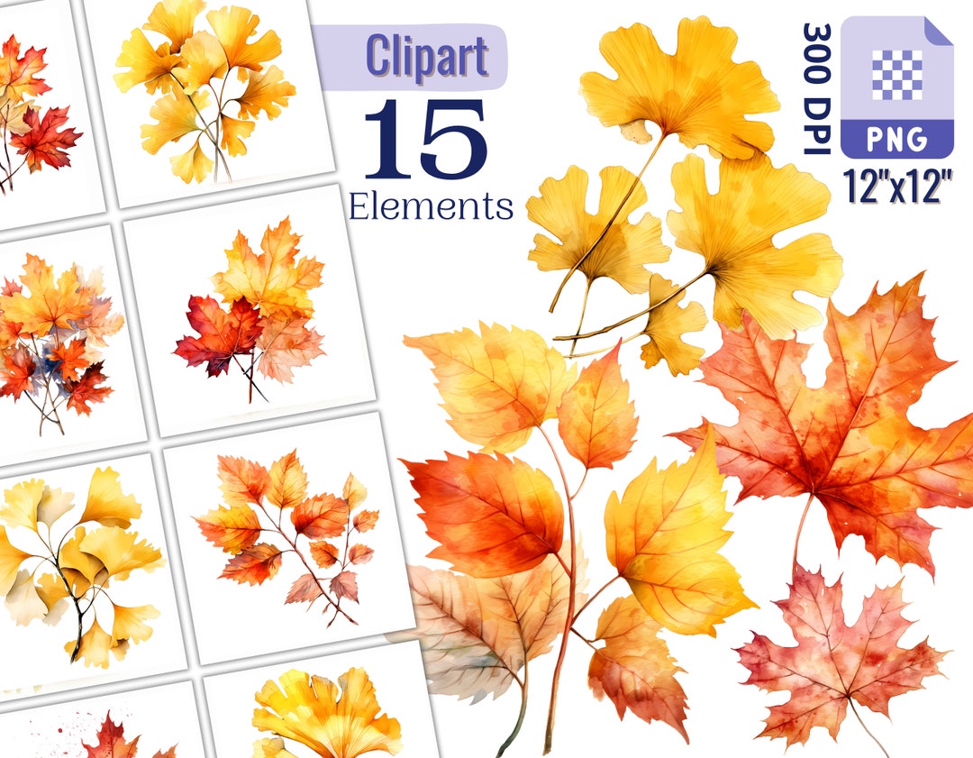 Autumn Leaves Clipart Set for Creative Projects, Fall Colors Leaf ...