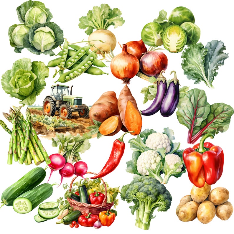 Farm Fresh Veggie Clipart Set for Creative Project, Transparent ...