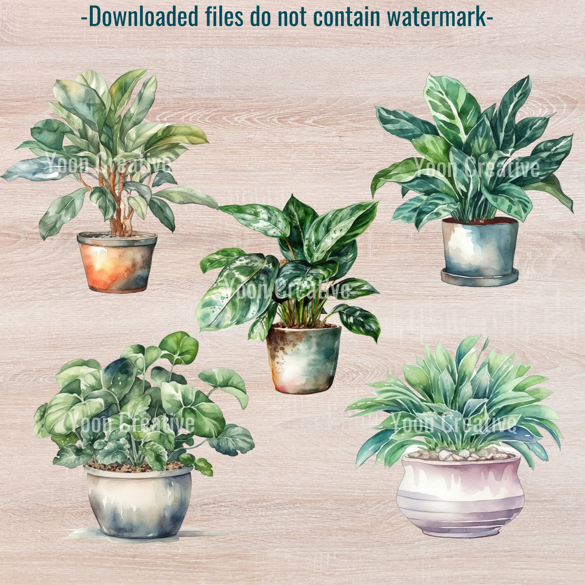 Watercolor Indoor Plant Clipart Set 25 PNG Transparent Background ...