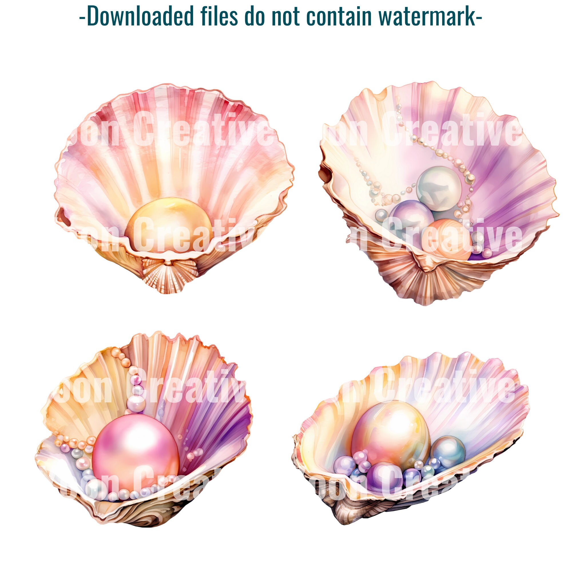 Pearl in a Shell Clipart Set for Creative Projects Whimsical - Etsy