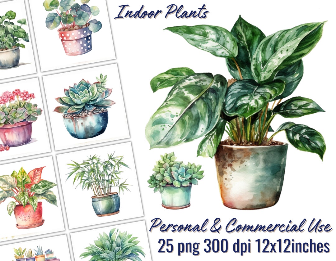 Watercolor Indoor Plant Clipart Set - 25 PNG - Transparent Background ...