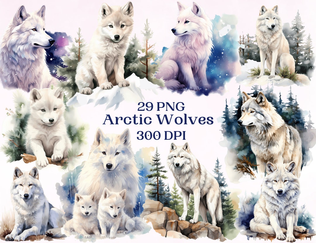 Wild Arctic Wolves for Creative Projects, Christmas Wolf Winter Animal ...