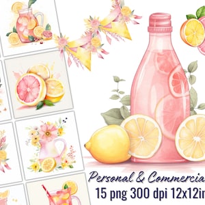 Pink Lemonade Party Clipart Bundle - Watercolor - 15 PNG - Transparent ...