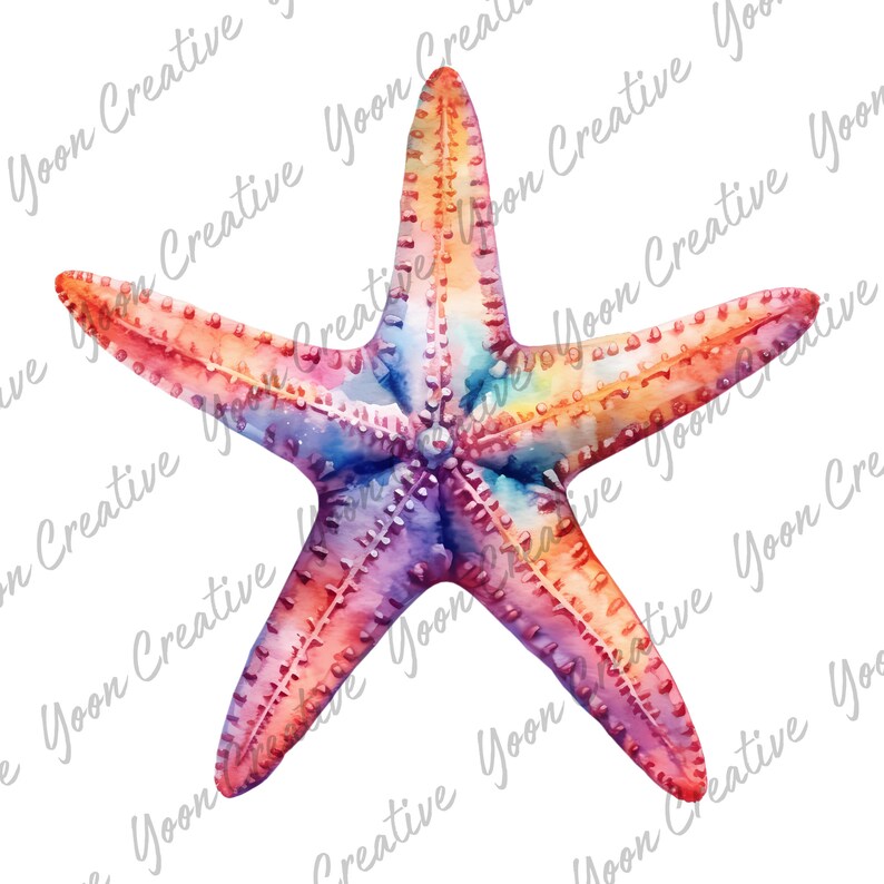 Colorful Starfish Clipart Set for Creative Projects, Summer and Ocea ...