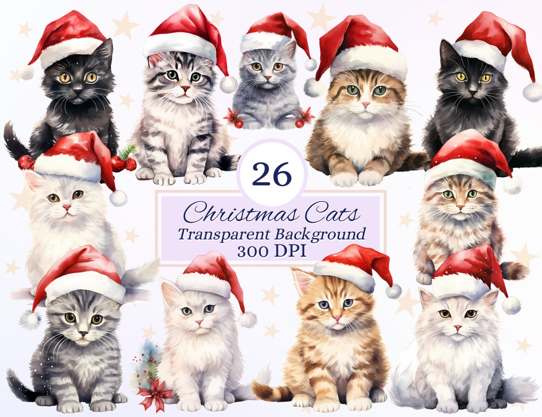 Christmas Cats Clipart Set for Creative Projects, Xmas Gift Winter ...
