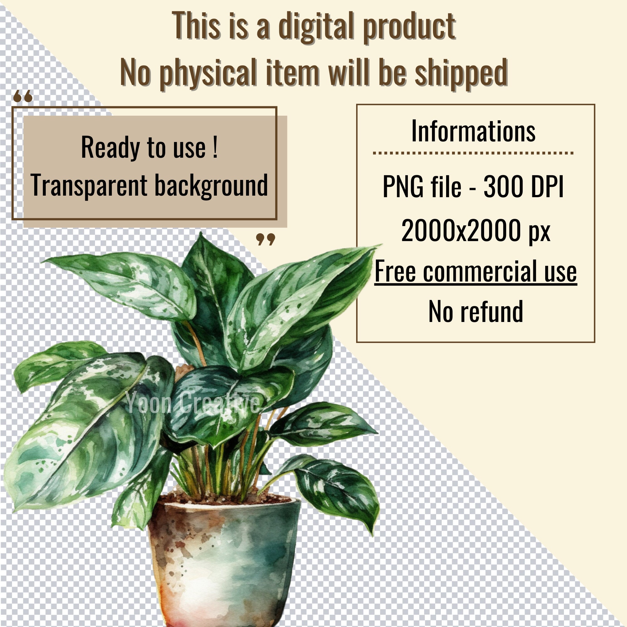 Watercolor Indoor Plant Clipart Set 25 PNG Transparent Background ...