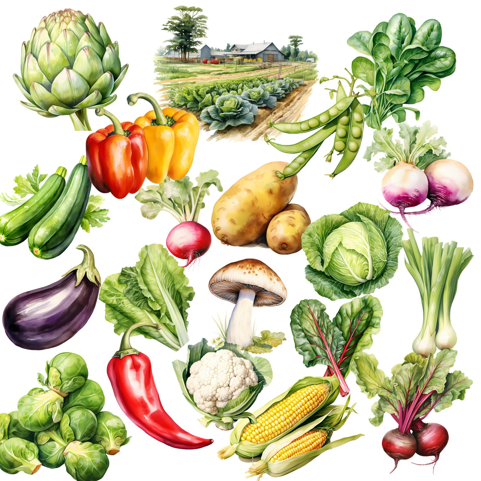Farm Fresh Veggie Clipart Set for Creative Project, Transparent ...