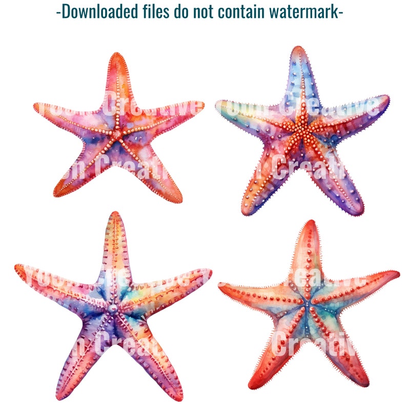 Colorful Starfish Clipart Set for Creative Projects, Summer and Ocea ...