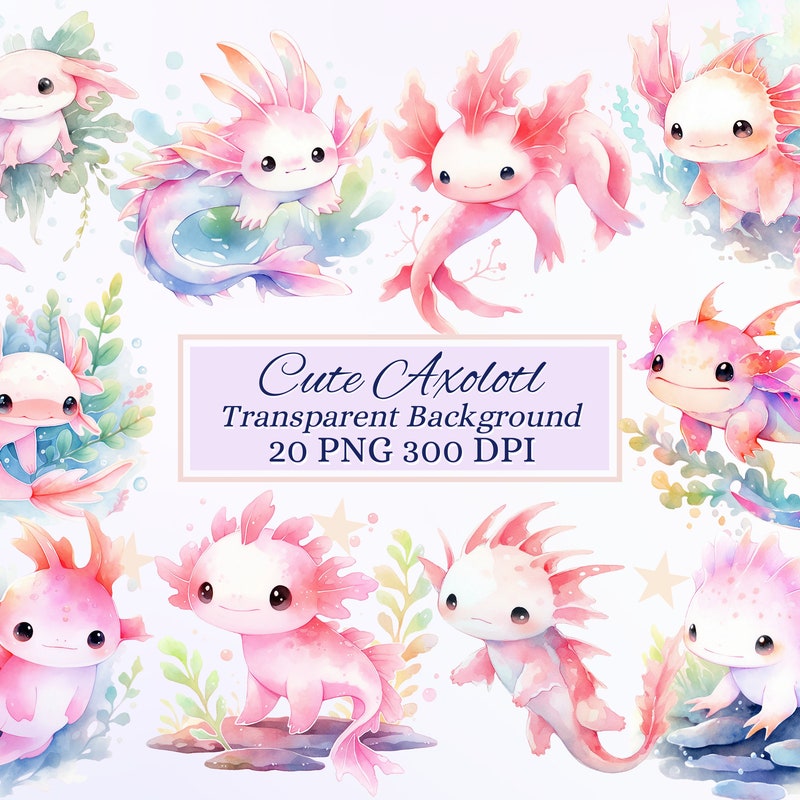 Cute Axolotl Kawaii - Etsy