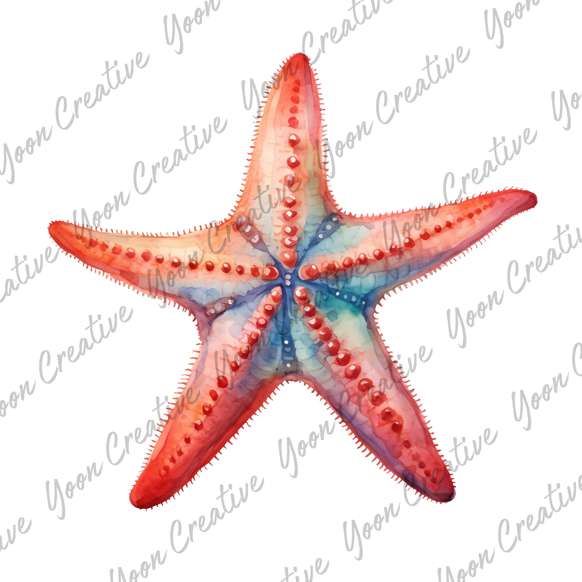 Colorful Starfish Clipart Set for Creative Projects, Summer and Ocea ...