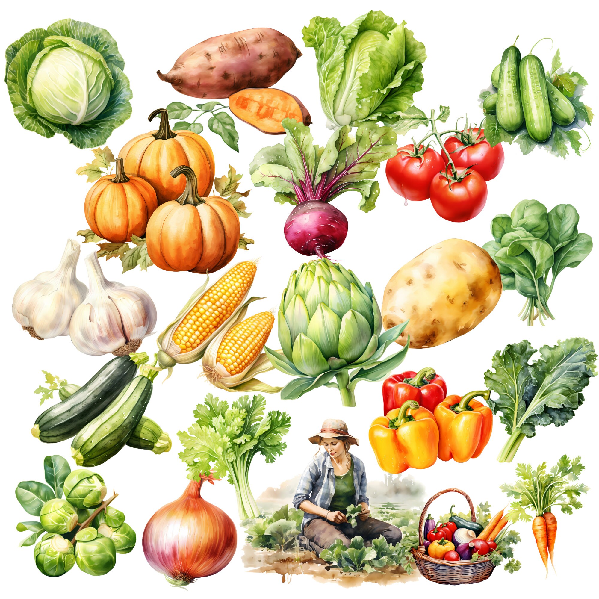 Farm Fresh Veggie Clipart Set for Creative Project - Etsy