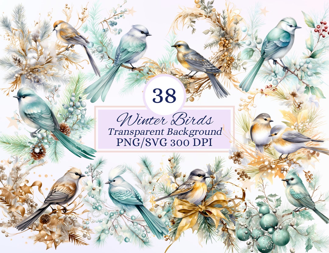 Festive Winter Bird Clipart Set for Creative Projects, Gold Silver ...