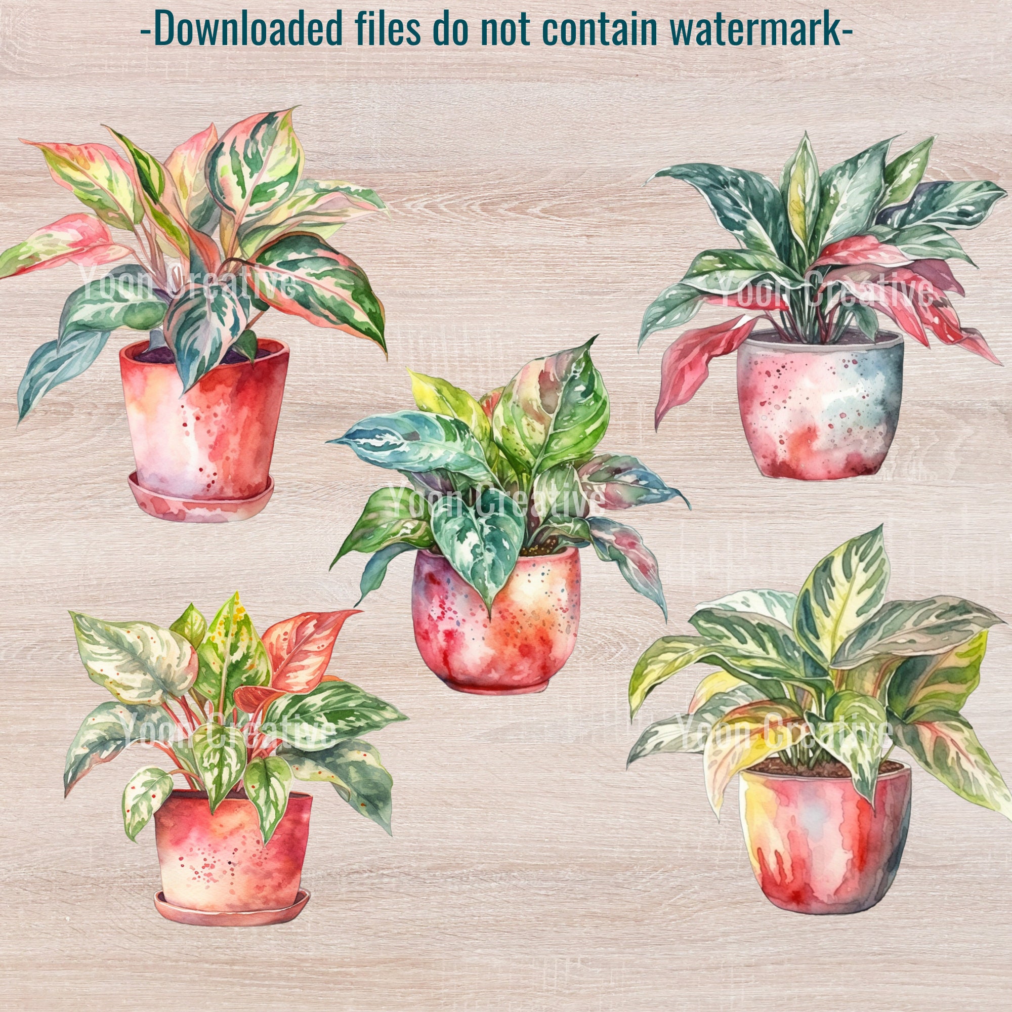 Watercolor Indoor Plant Clipart Set 25 PNG Transparent Background ...