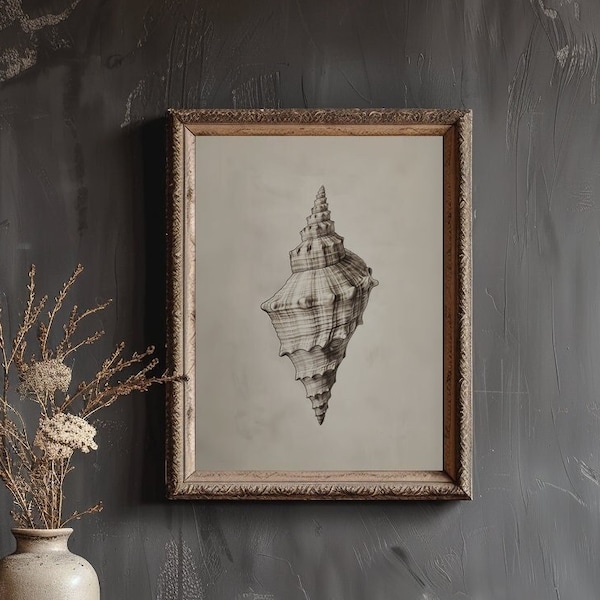 Shell Art Print - Etsy