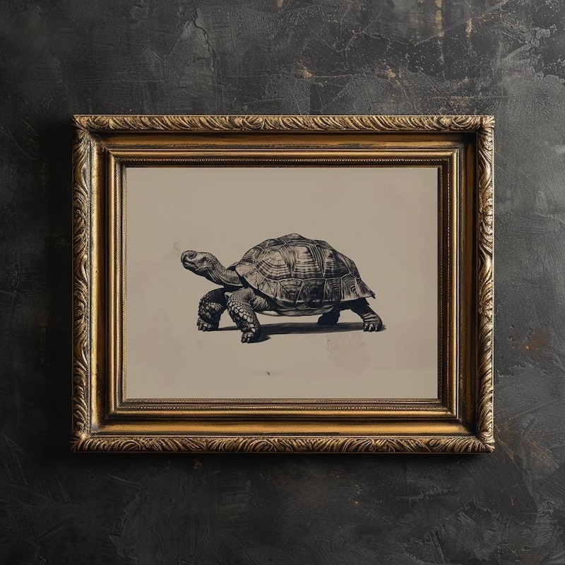 Tortoise Art - Etsy
