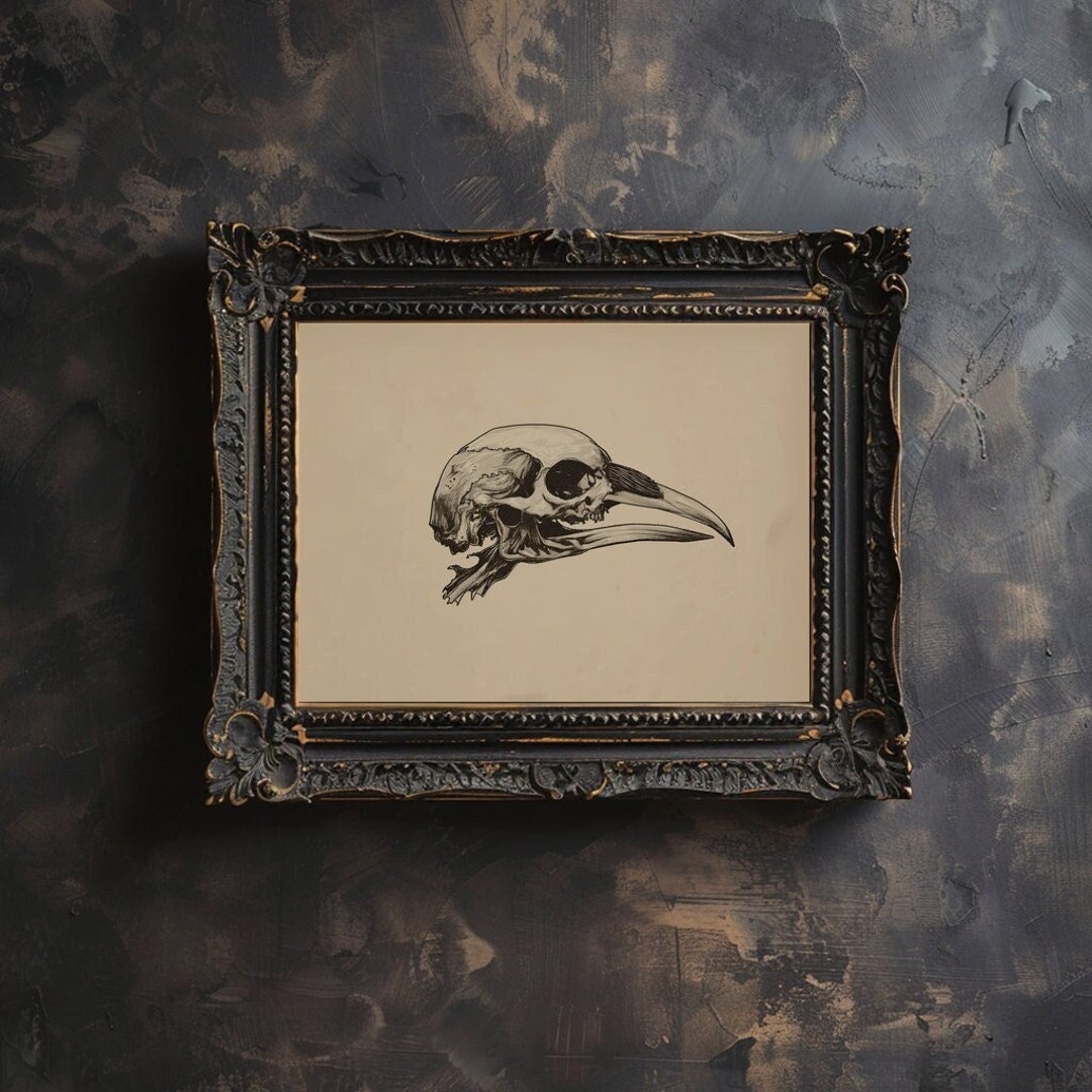 Eclectic Crow Skull Digital Wall Art Graphic, Printable Bird Skeleton ...
