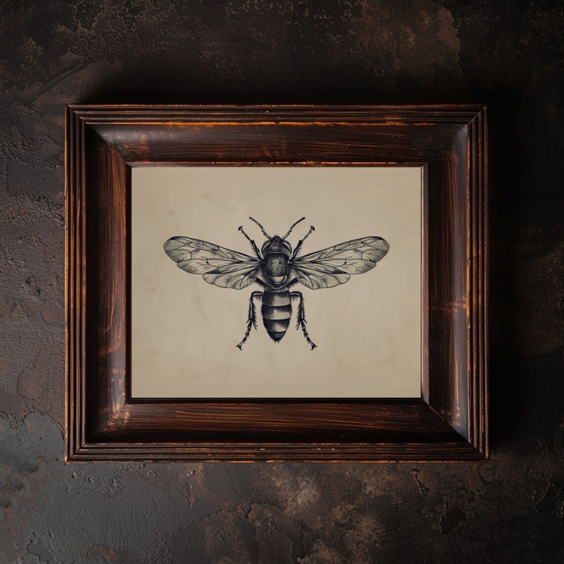 Hornet Art Print Wasp Entomology Printable Insect Illustration for Bug ...