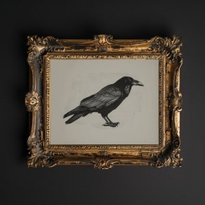 Goth Girl Crow Print on Sepia, Printable Eclectic Wall Raven Digital ...