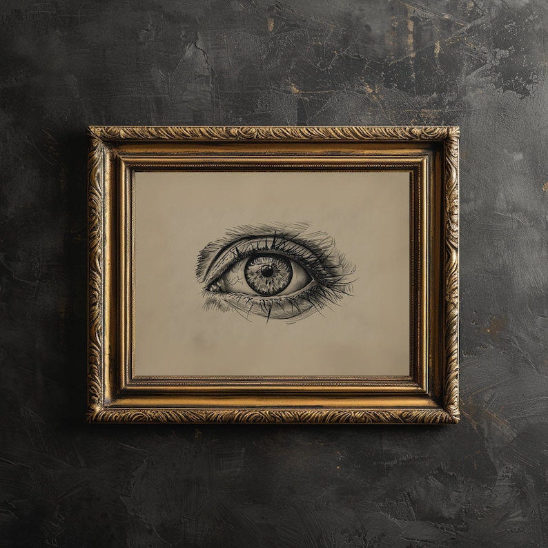 Human Eye Wall Art, Printable Eyeball Illustration, Vintage Human Eye ...