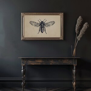 Hornet Art Print Wasp Entomology Printable Insect Illustration for Bug ...