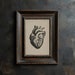 Human Heart Print Anatomical Heart Printable Vintage Heart Anatomy ...