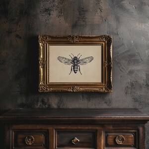 Hornet Art Print Wasp Entomology Printable Insect Illustration for Bug ...