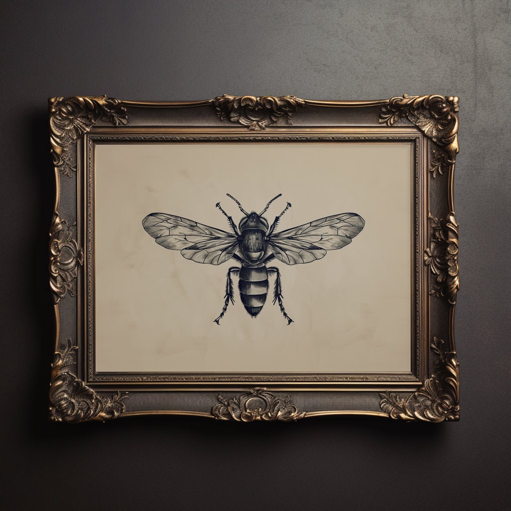 Hornet Art Print Wasp Entomology Printable Insect Illustration for Bug ...