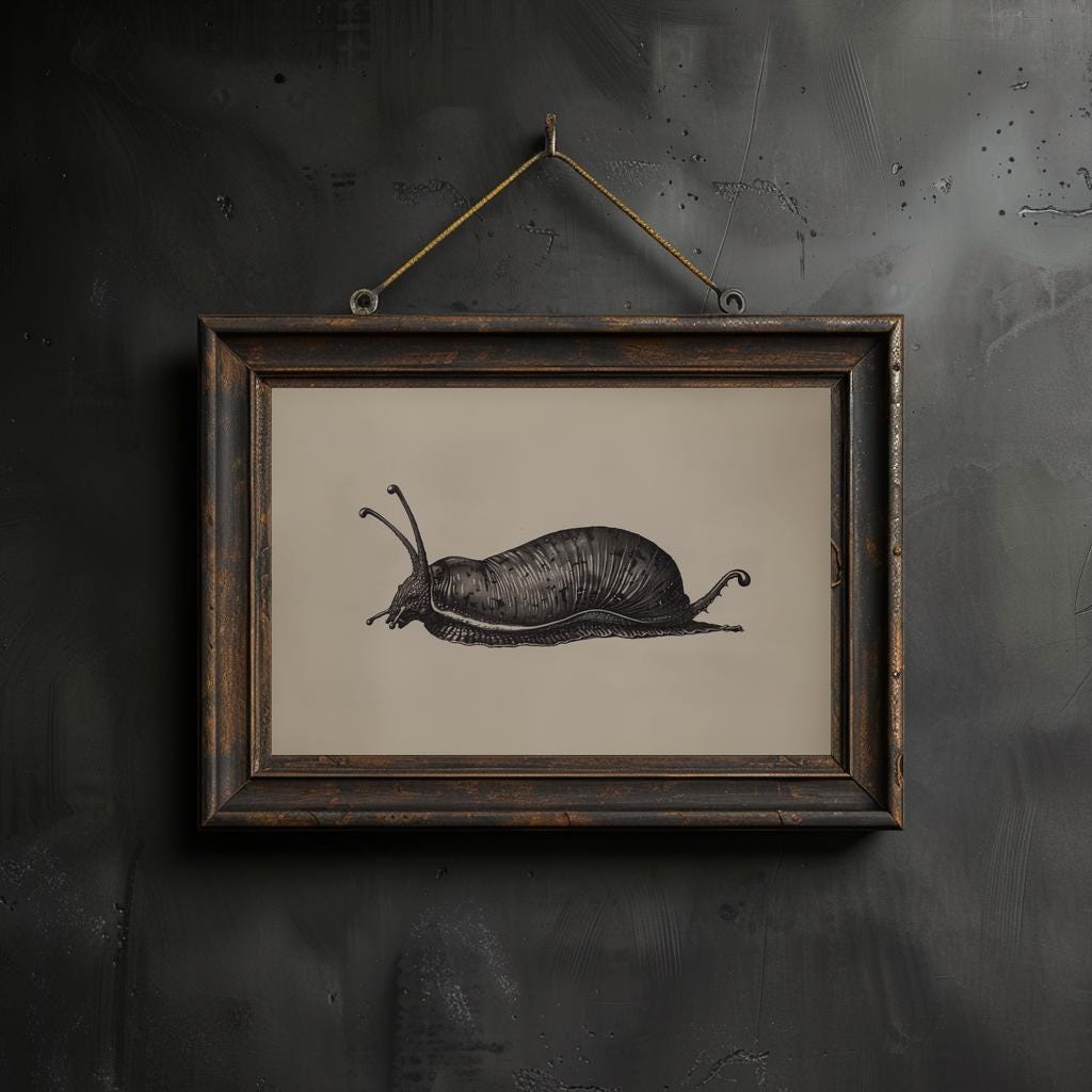 Slug Art Print Anatomy Slug Printable Garden Slug Illustration Vintage ...