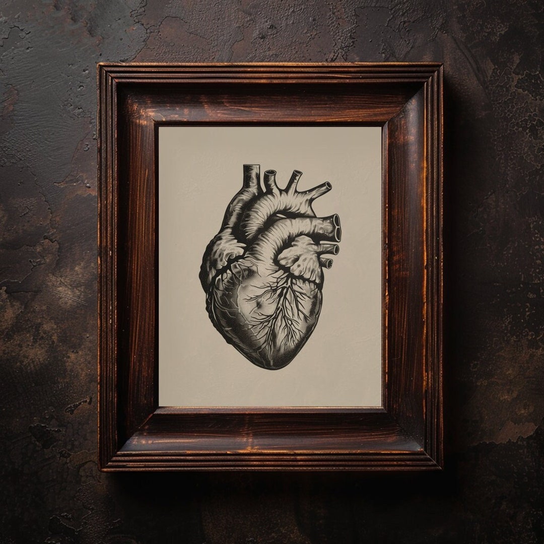 Human Heart Print Anatomical Heart Printable Vintage Heart Anatomy ...