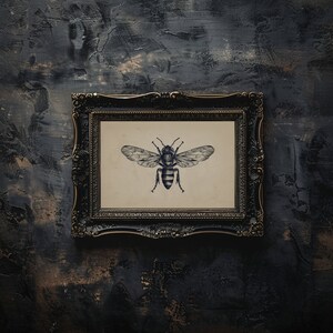 Hornet Art Print Wasp Entomology Printable Insect Illustration for Bug ...