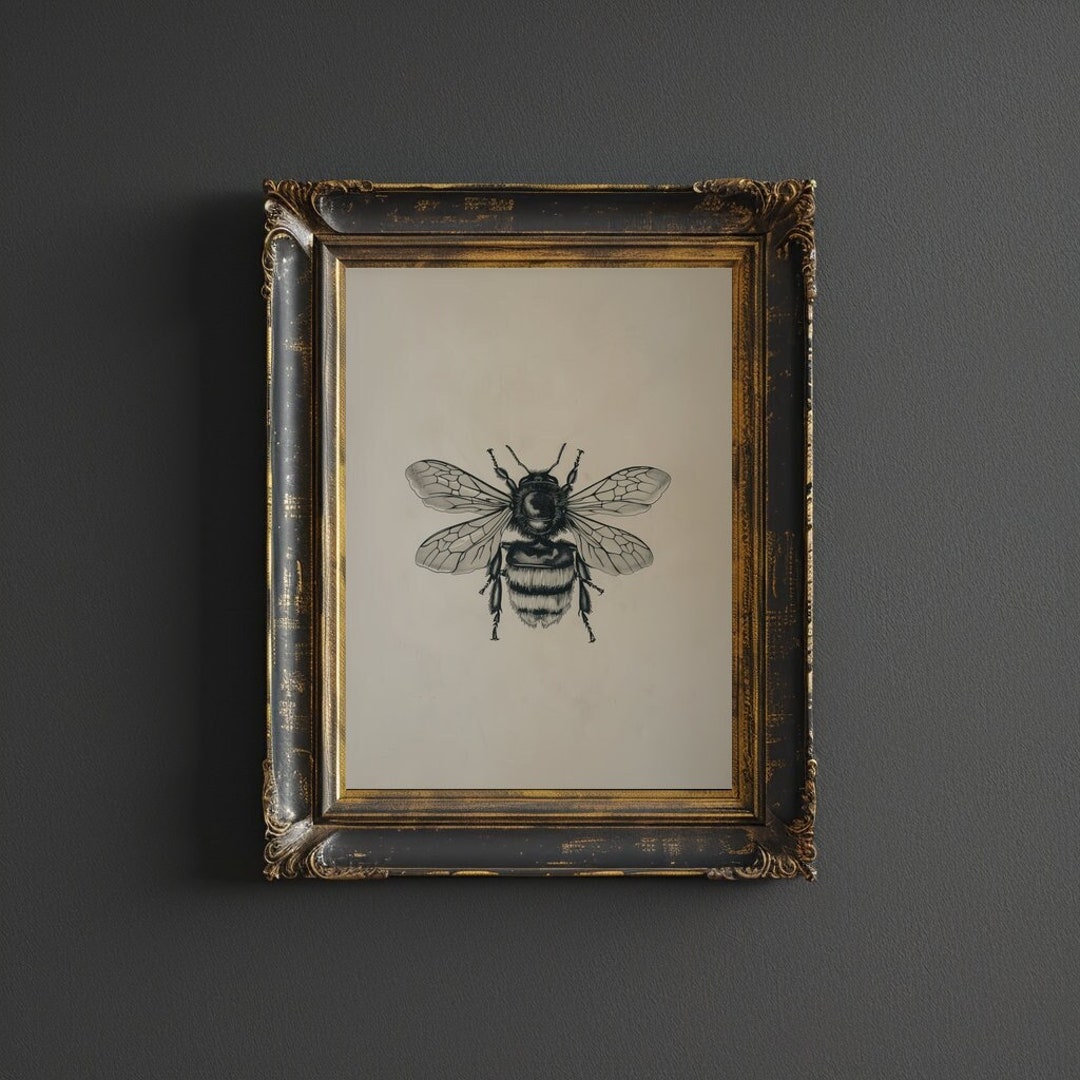 Bumblebee Digital Artwork Poster, Classroom Honeybee Entomology Design ...