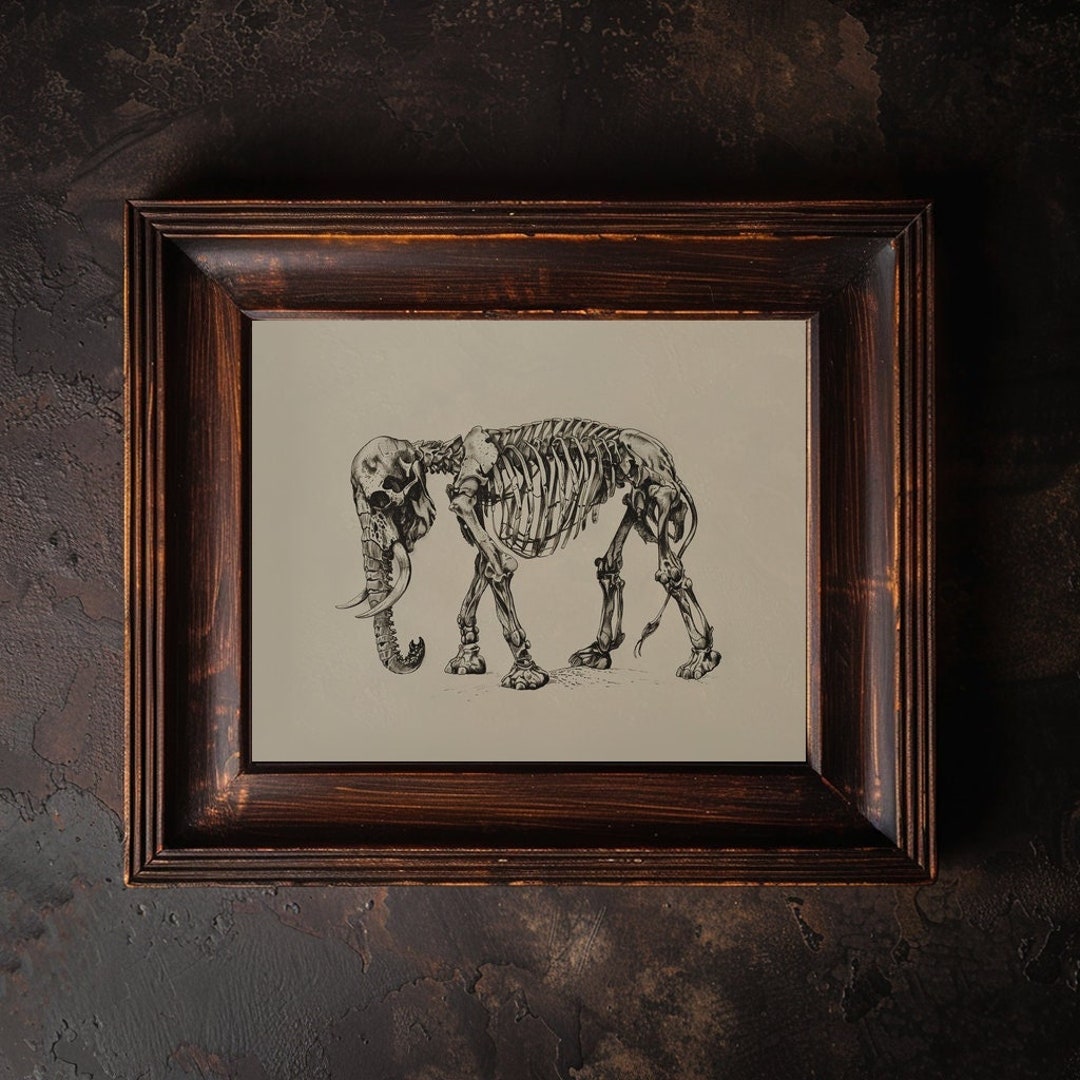 Elephant Skeleton Printable Wall Decor, Dark Vintage Elephant Bones ...