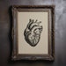 Human Heart Print Anatomical Heart Printable Vintage Heart Anatomy ...