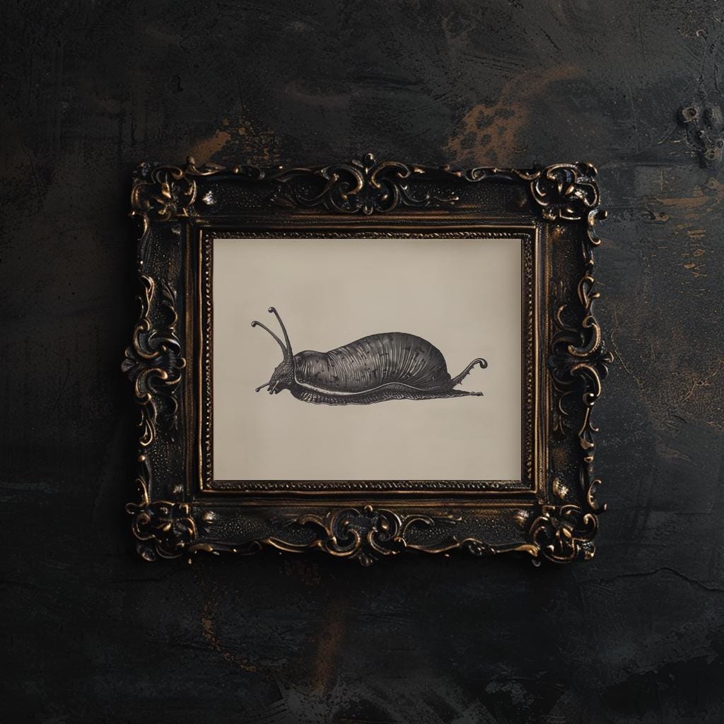 Slug Art Print Anatomy Slug Printable Garden Slug Illustration Vintage ...