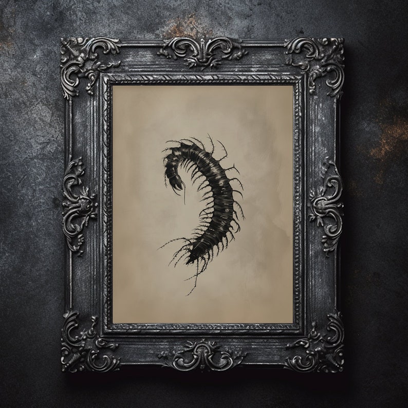 Vintage Centipede Printable Art Work, Entomology Centipede Poster ...
