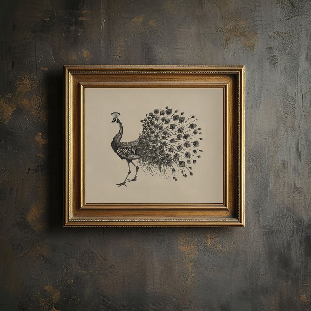 Peacock Skeleton Digital Print Vintage Peacock Anatomy Poster Peacock ...