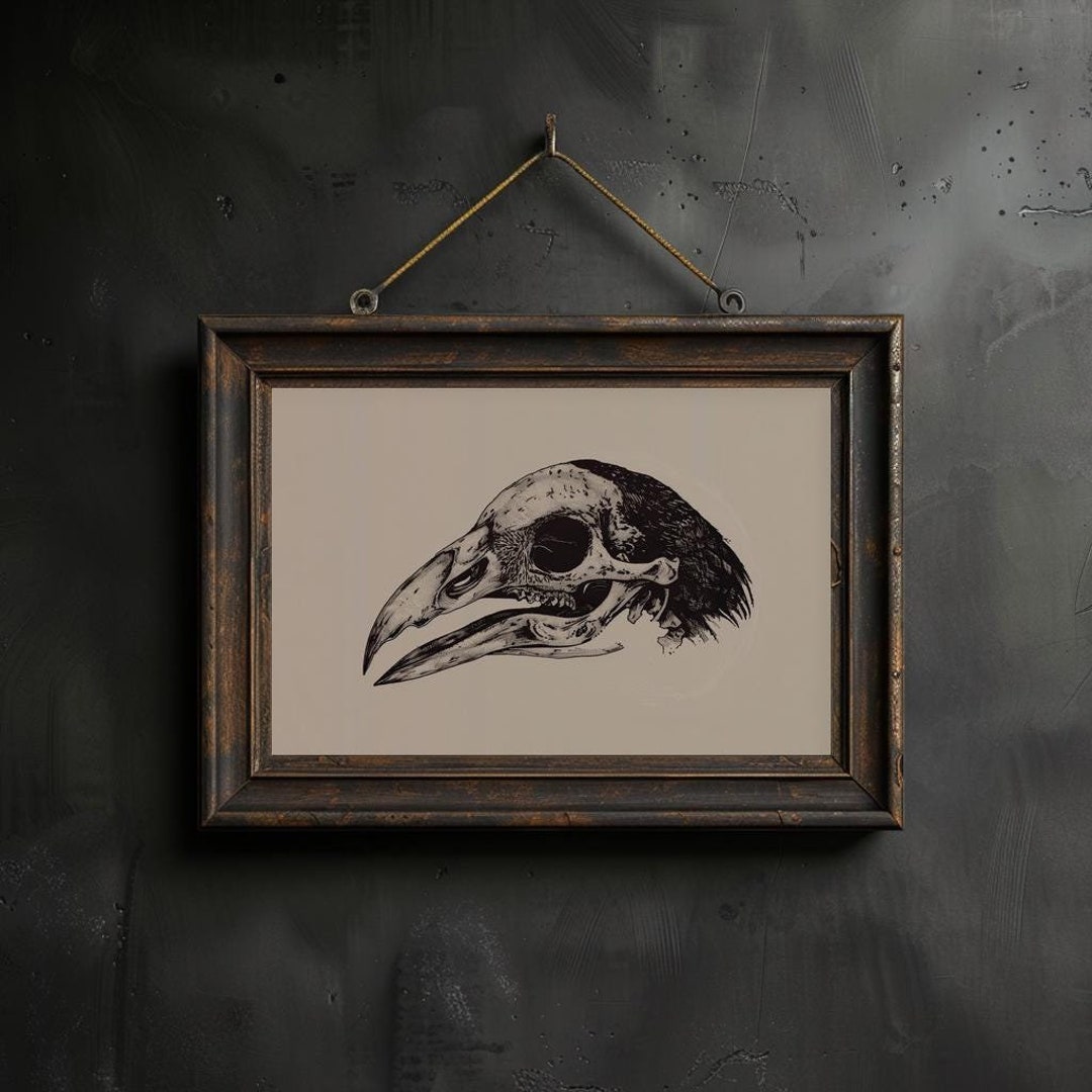 Vulture Skull Wall Art Printable Vintage Bird Skull Illustration ...