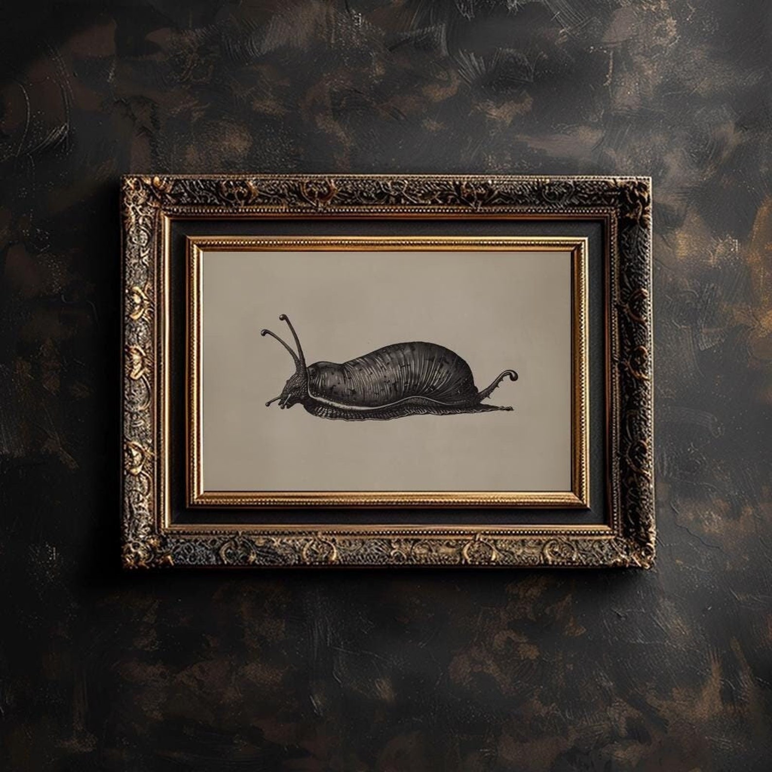 Slug Art Print Anatomy Slug Printable Garden Slug Illustration Vintage ...