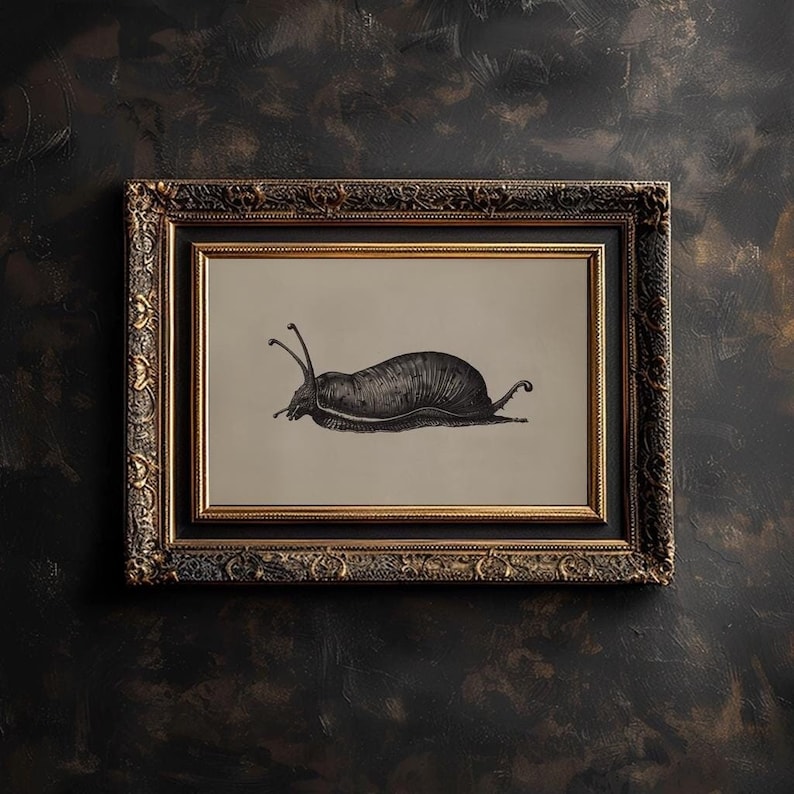 Slug Art Print Anatomy Slug Printable Garden Slug Illustration Vintage ...