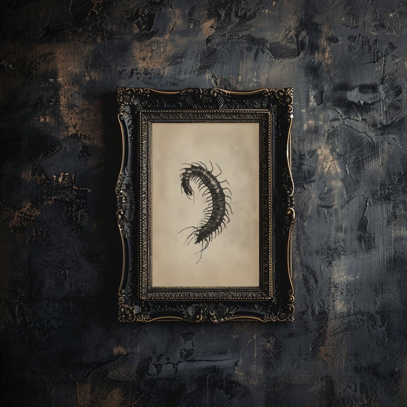 Vintage Centipede Printable Art Work, Entomology Centipede Poster ...