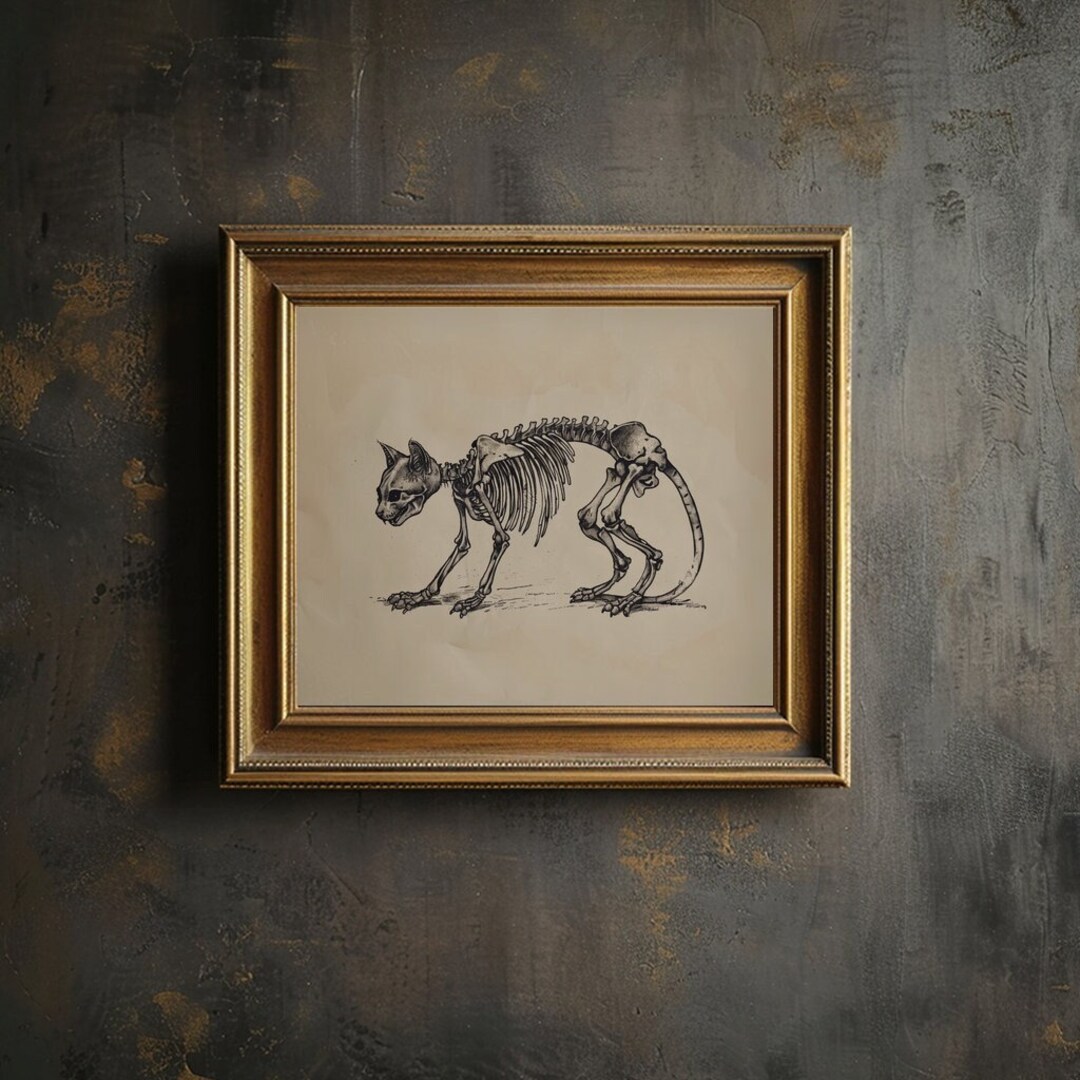 Gothic Cat Skeleton Printable Wall Art, Dark Vintage Cat Skeletal Print ...