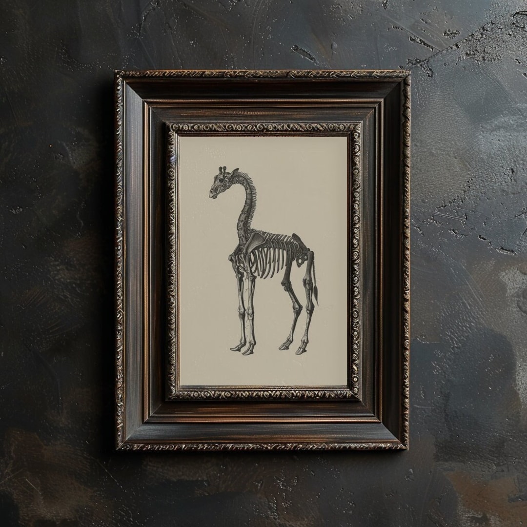 Giraffe Skeleton Wall Art, Printable Giraffe Skeleton Poster, Vintage ...