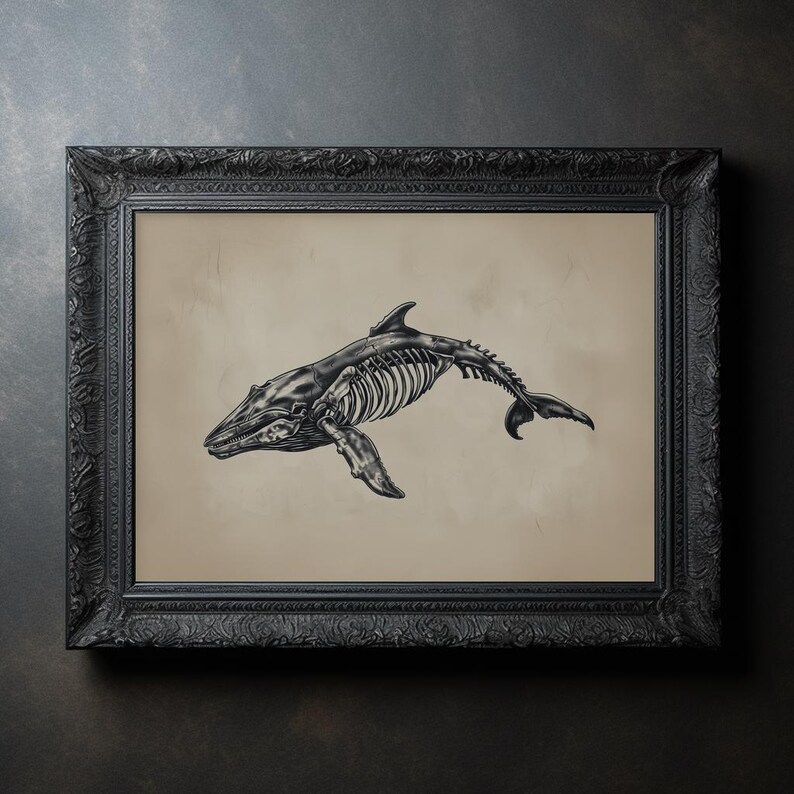 Vintage Whale Skeleton Art Printable Whale Anatomy Illustration ...