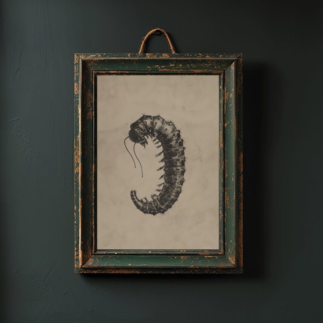 Caterpillar Entomology Digital Wall Art Print, Dark Academia ...
