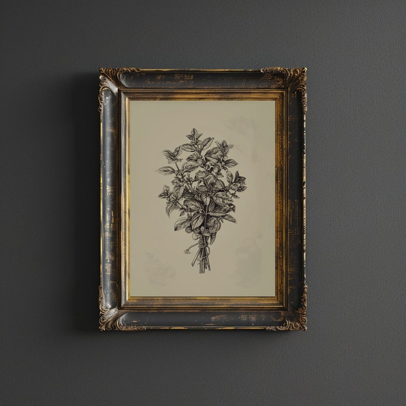Oregano Botanical Wall Print Vintage Oregano Illustration Wall Art ...